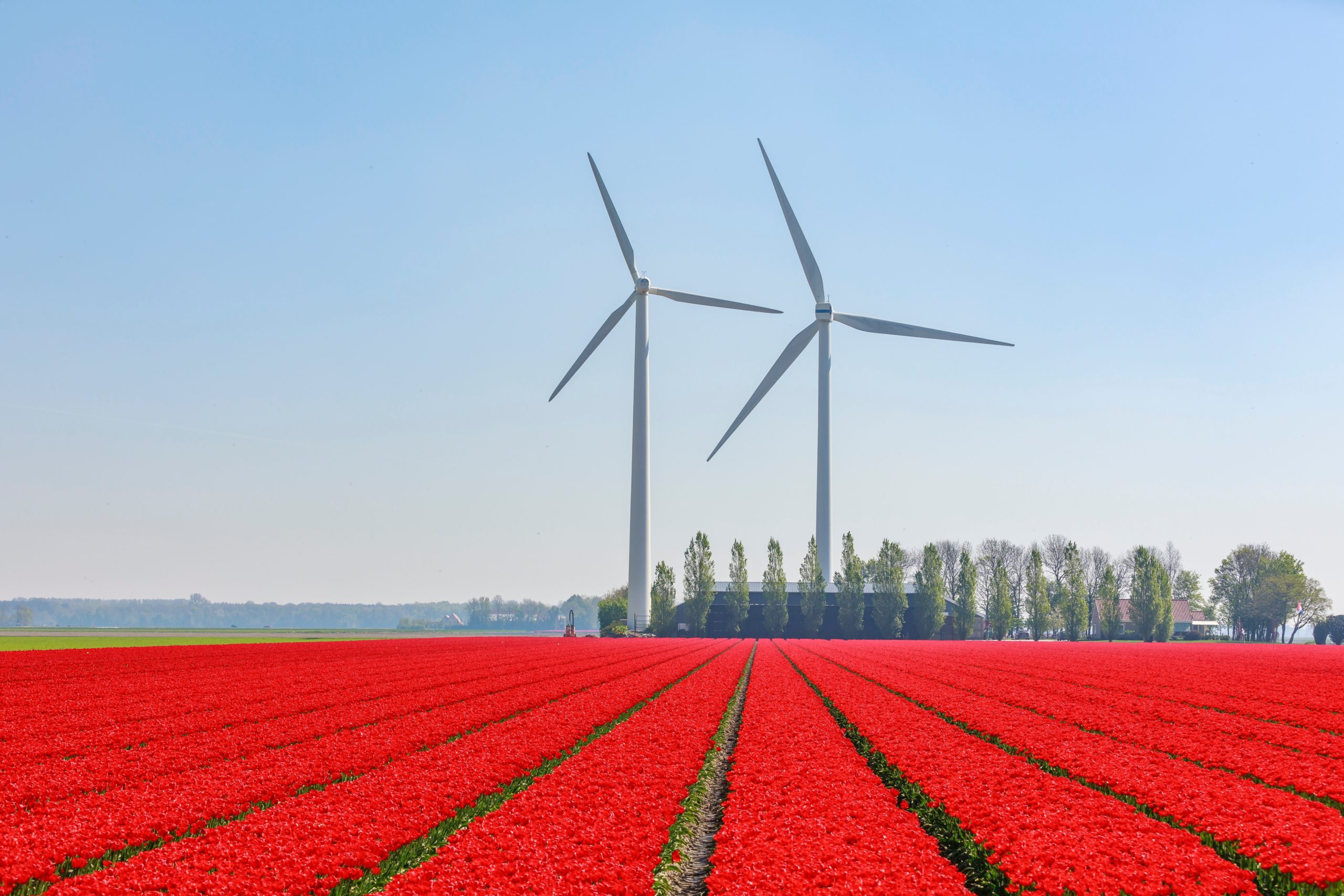 Route bepalen voor digitale dienstverlening - Solventa